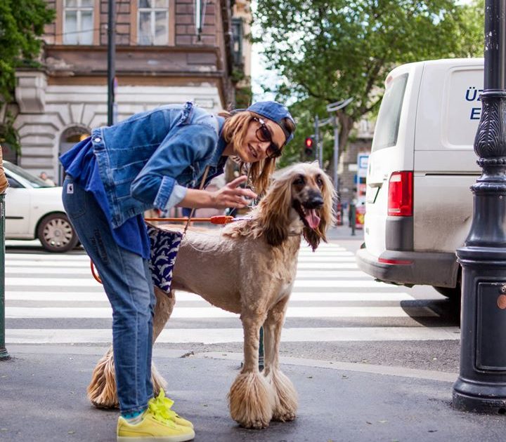 Série photograhique : Humans of Budapest - CEC