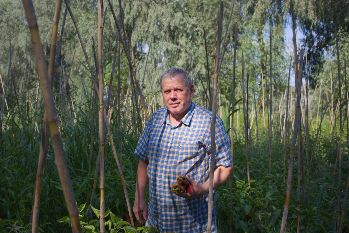 Dans le Delta du Danube, les riches écosystèmes fragilisés par la ...